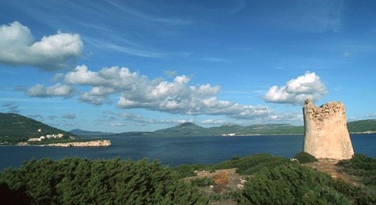Il Parco di Porto Conte festeggia i suoi primi 15 anni - Alghero Eco