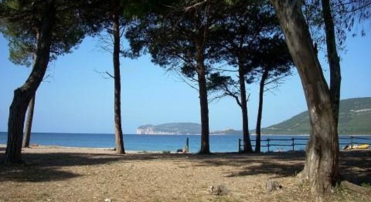 Pineta Mugoni, incontro pubblico ad Alghero - Alghero Eco