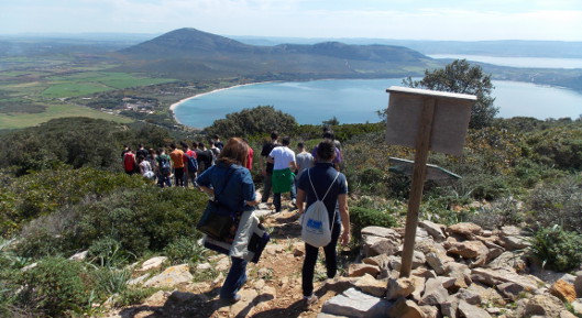Nasce "Vivere il Parco" per salvare il grifone - Alghero Eco