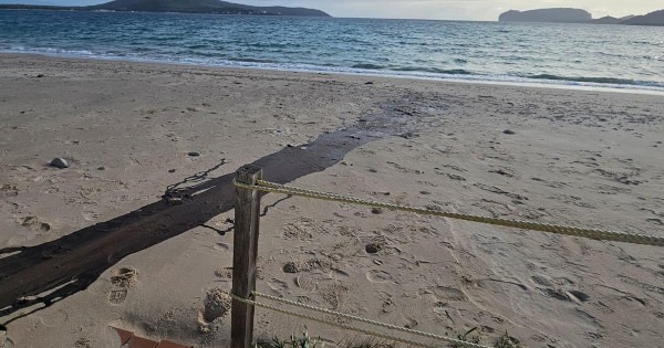 Allarme a Mugoni: liquami in spiaggia nel cuore del Parco di Porto ...